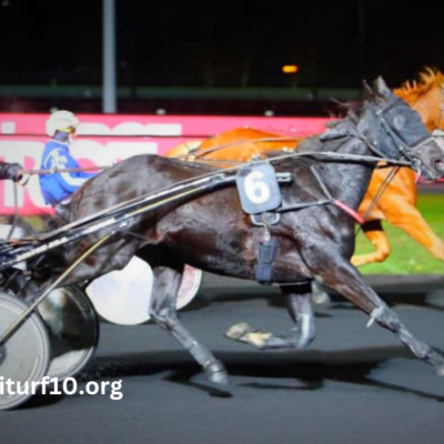 Messiturf10 - Messiturf, Le messi turf & More Info