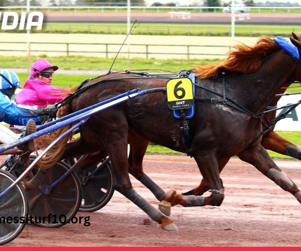 Messiturf10 - Messiturf, Le messi turf & More Info